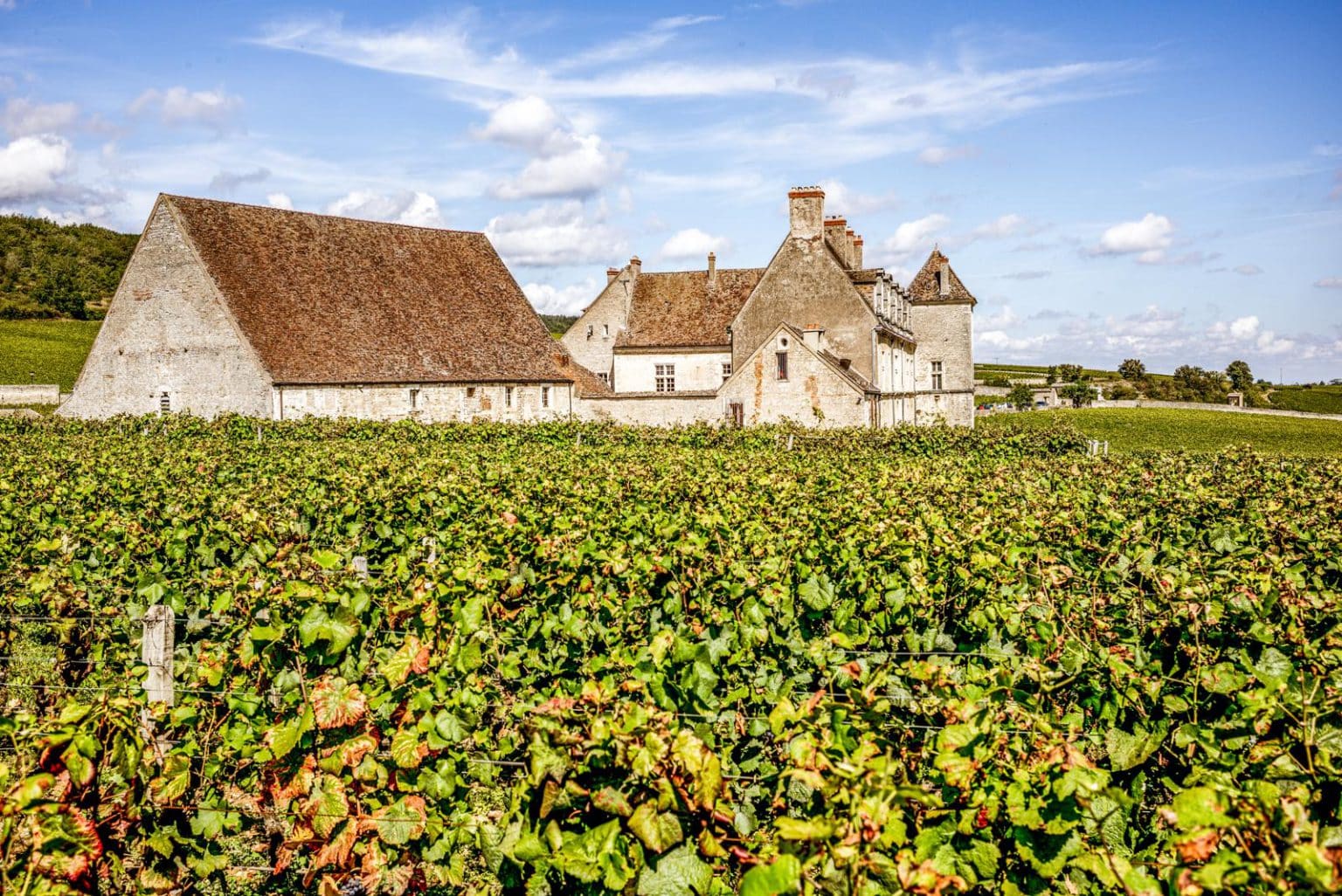 Toerisme Bourgogne, Frankrijk: nuchter slingerend door de wijngaarden
