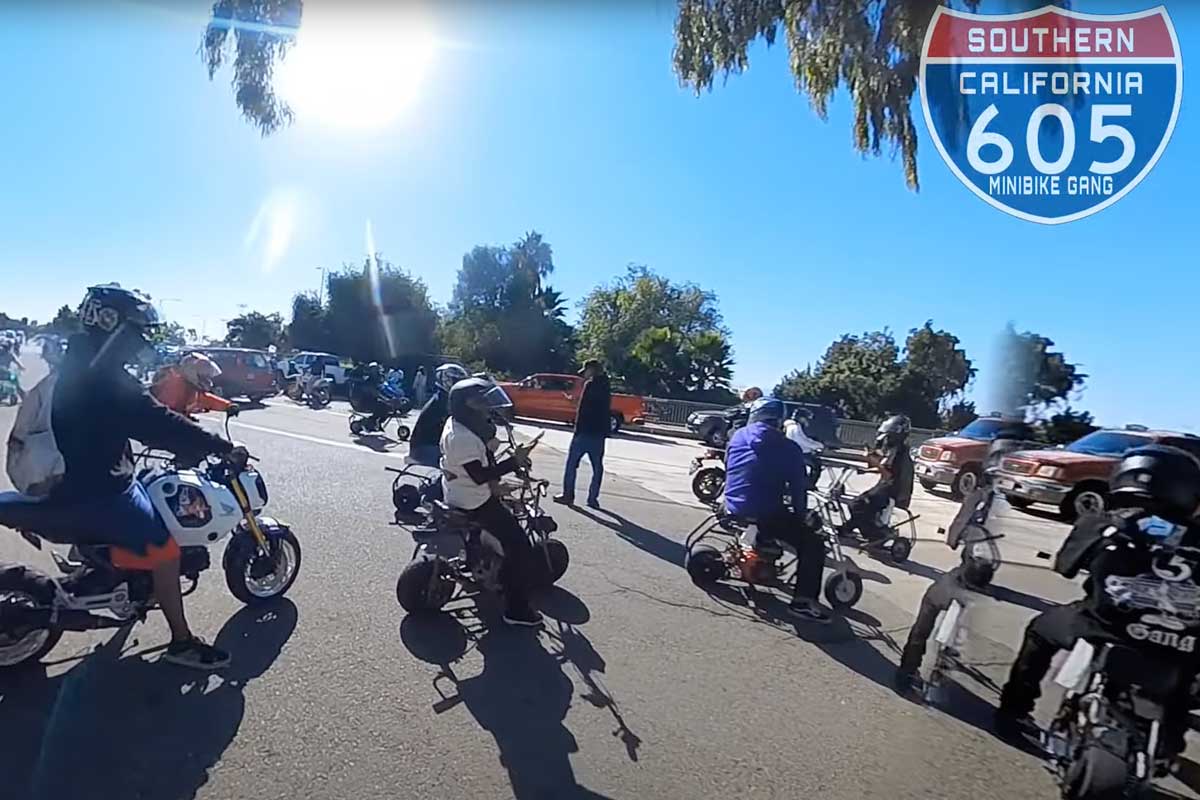 Minibike-gang knokt met Beverly Hills 90210-acteur in Hollywood